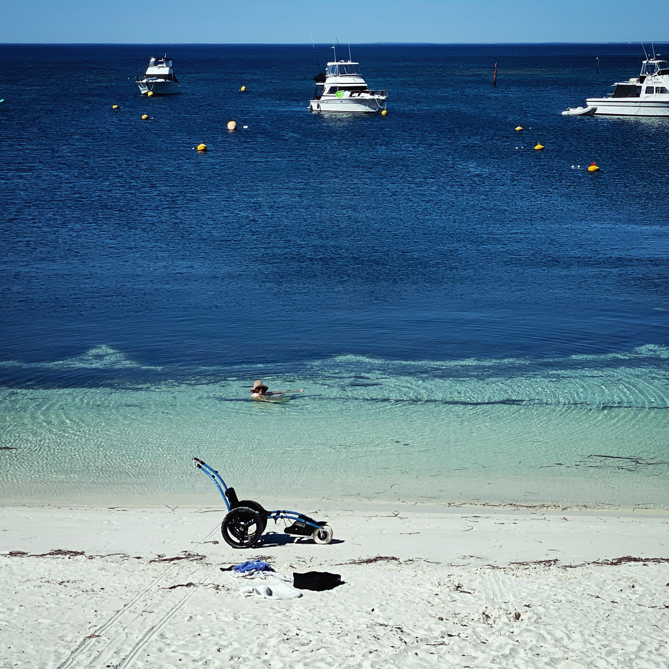 Rottnest 2024 – the chook house